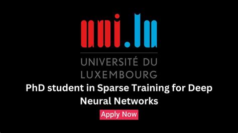 Phd Student In Sparse Training For Deep Neural Networks At University
