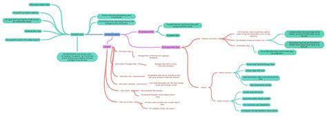 Mongodb Atlas Coggle Diagram