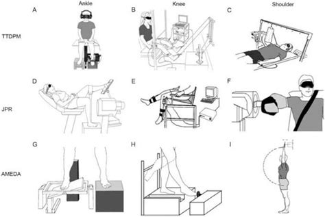 Professor Omid Khaiyat On Linkedin Proprioception Joint