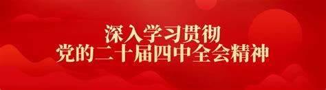 印记·2025 民主党派及无党派人士、党外干部工作篇全市建设发展