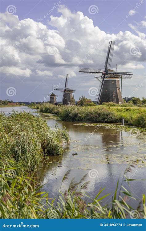 Typical Dutch Landscape With Traditional Windmills Netherlands Stock