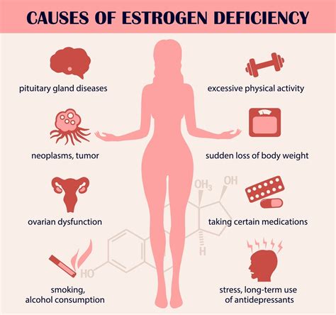 Why Is Estrogen Important In Women