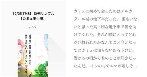 11番目の勇者 カミュ主 【225 Tm8】 新刊サンプル【カミュ主♀小説】 ハルキの小説 Pixiv