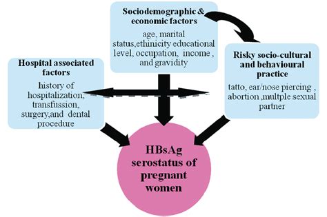 Conceptual Frame Work Showing The Relationship Between The Dependent Download Scientific