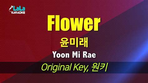 윤미래yoon Mi Rae Flower 노래방 Lalakaraoke Kpop Youtube
