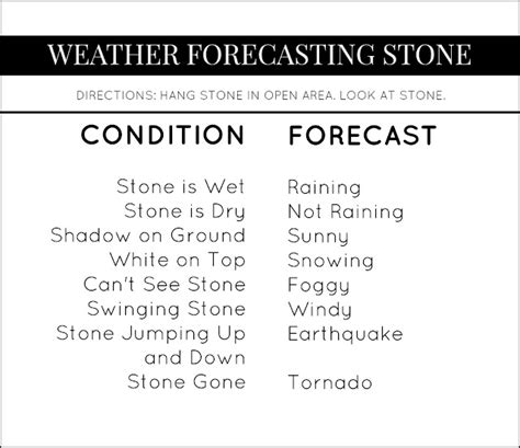 Weather Forecasting Stone Gag T Muslin And Merlot