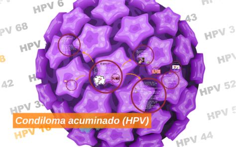 Condiloma acuminado HPV by Pietra Santos Simões on Prezi