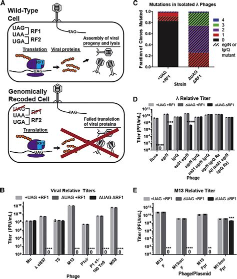 Genomic Recoding Broadly Obstructs The Propagation Of Horizontally