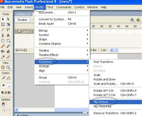 Flash Strange Menu
