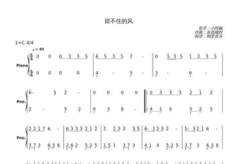 留不住的风钢琴谱小阿枫c调独奏 吉他世界