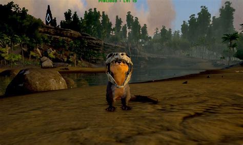 The Powerful Cute Apex Predator Precious R Ark