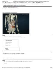 Ch11 Muscles Of The Head And Neck LAB WORK 25 Mins Pdf 11 4 22 9 37