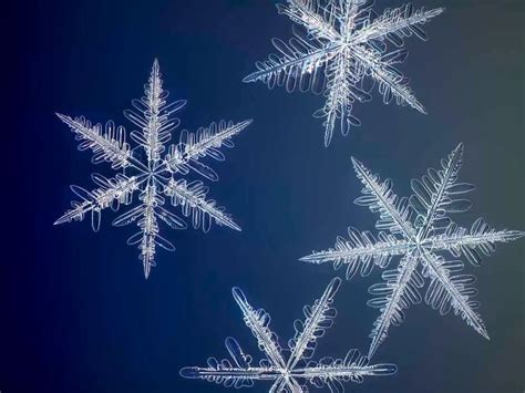 Real Snowflake Under Microscope