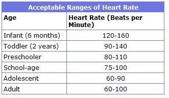 Whats A Normal Heart Rate Normal Resting Heart Rate By Age Wwer