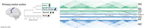 Overview BICCN Challenge