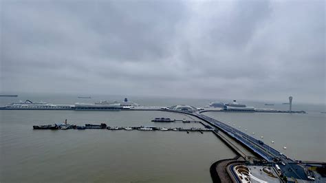 上海邮轮口岸再现“四船同靠”查验国际旅客