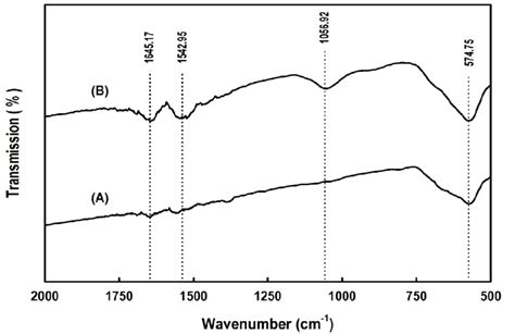 Fourier Transform Infrared Spectroscopy Ftir Spectra Of Naked Fe O