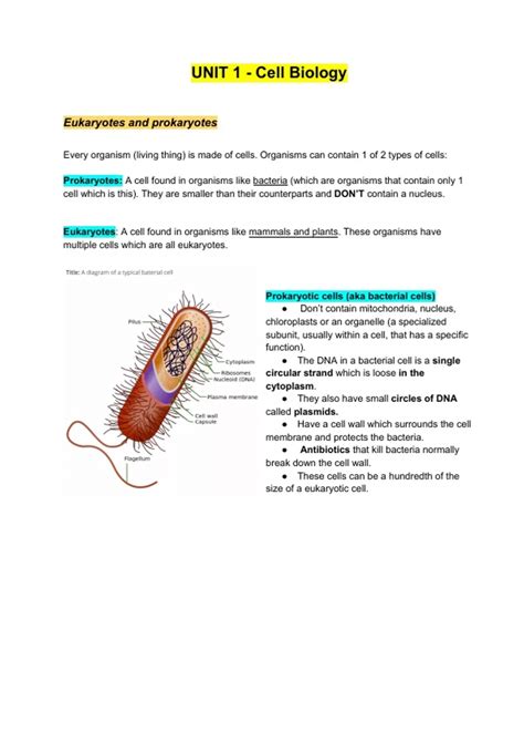 Aqa Gcse Biology Unit 1 4 Exam Paper 1 Full Summary Foundation Tier
