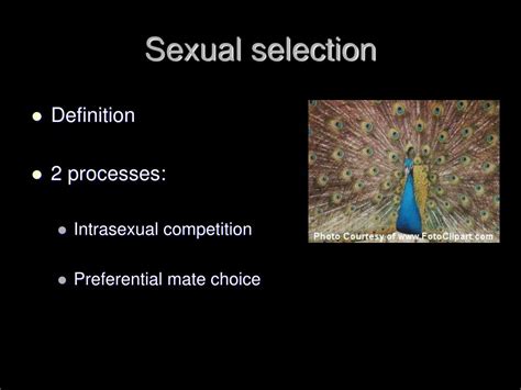 PPT Sex And Sexual Orientation Differences In Sexual Attraction PowerPoint Presentation ID