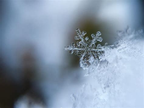 jayaananth jayaram on linkedin snowflake dynamic data masking