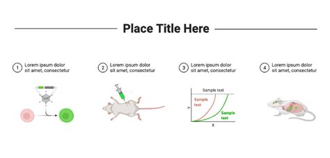 In Vivo Cell Tracking Layout 4x1 Biorender Science Templates