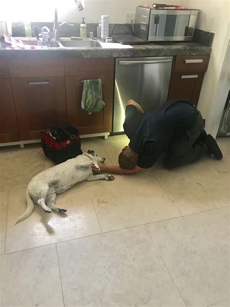 “helping” The Dishwasher Repair Guy Raww