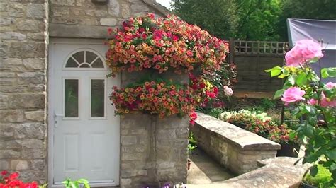 Lilys Garden Youtube