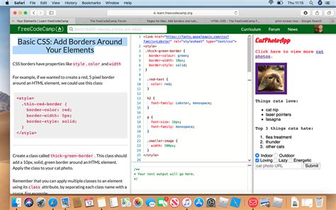 Basic CSS Add Thick Green Border Around Your Elements HTML CSS The FreeCodeCamp Forum