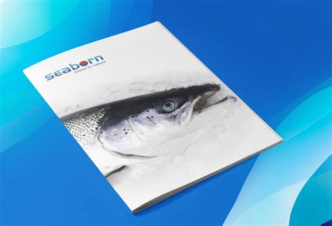 Brochure Seaborn As