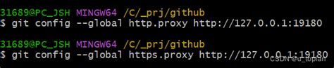 Github 新手教程 含代理服务器和无代理服务器两种模式github代理 Csdn博客