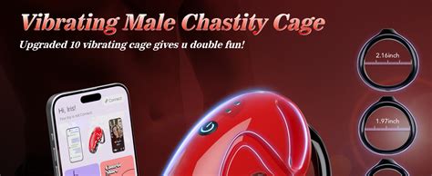 Sex Toy Vibrating Chastity Cage Male Chastity Devices Cock Cage With 10 Vibrations