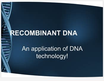 Genetics PowerPoint Recombinant DNA By Bold Biology Teacher TPT