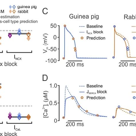 extension of the cross cell type regression model concept to additional