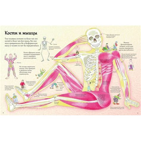 Открой тайны человека - купить в Эстонии | Доставка по Европе