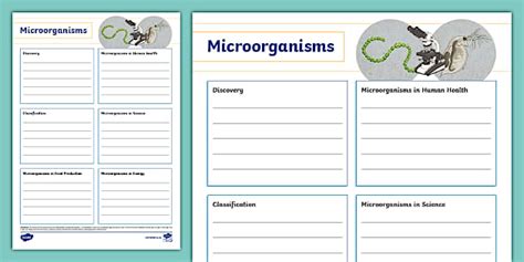 Microorganisms Fact File Template Teacher Made Twinkl