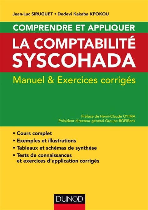 introduction à la comptabilité dcg 9 manuel et applications