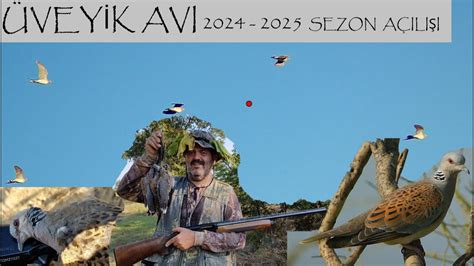 ÜVEYİK AVI 2024 2025 SEZON AÇILIŞI DOVE HUNTİNG SHOTKAM