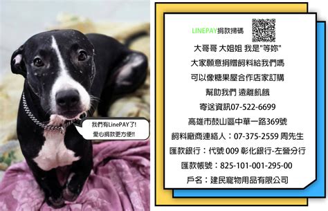 照生會 貓狗119 Lco 1031026 零捌伍柒國際行銷 金舒毯 、捐助 25萬元幫助流浪貓狗 Lco