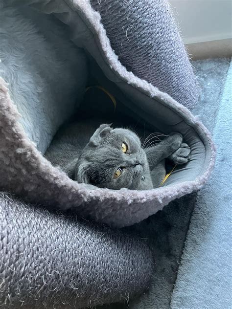 Freya Melling Rukbabesunderrated