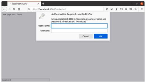 How To Correctly Use Basic Authentication In Go Rgolang