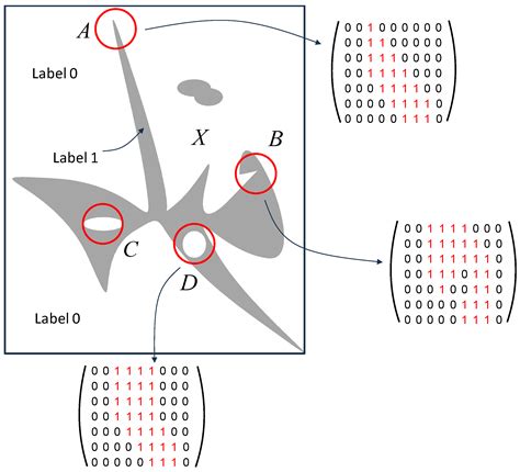 Unbiased Finite Element Mesh Delaunay Constrained Triangulation Applied To 2d Images With High