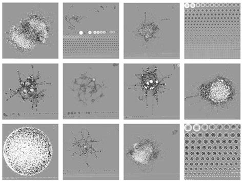 Software Builds Function Based Gene Networks The Transmitter Neuroscience News And Perspectives