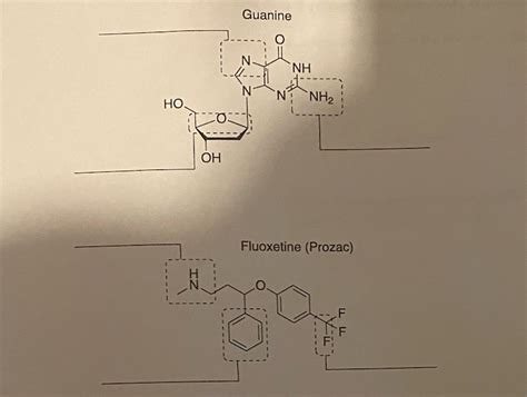 Solved 4 Identify Each Of The Functional Groups That Are
