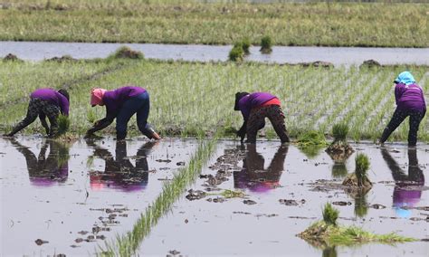 Kementan Kembangkan Mekanisasi Pertanian Lahan Kering