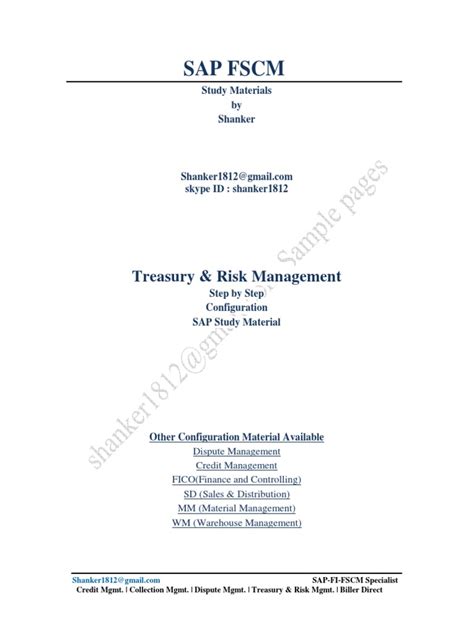 Sap Trm Configuration Guide Pdf Financial Transaction Derivative Finance