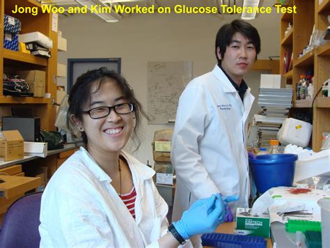 Zang Lab Photos Cell Signaling And Diabetes Laboratory