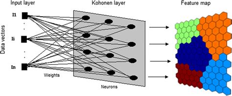 Architecture Of The Self Organizing Map Neural Network Download