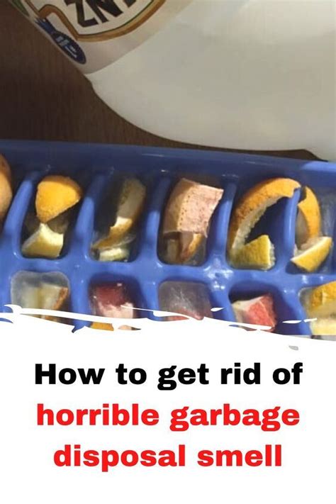How To Get Rid Of Garbage Disposal Smell Artofit