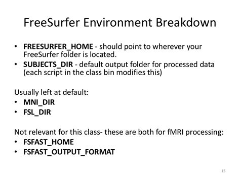 FreeSurfer Class M Catalina Camacho