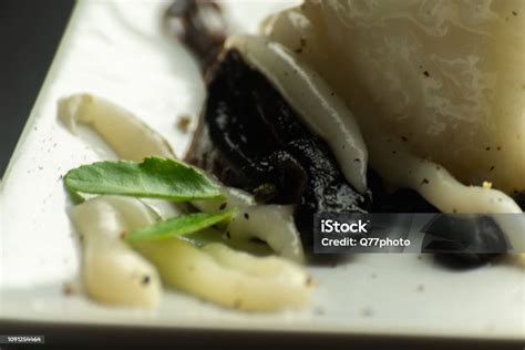 쌀 요리와 버섯 기반 소스 식품의 우아한 봉사에 근접 촬영 Boletus에 대한 스톡 사진 및 기타 이미지 Boletus